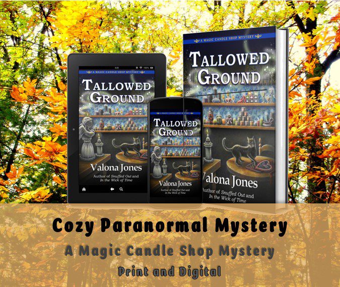 Falling into…Everything! by Maggie Toussaint/Valona Jones - Debra H ...